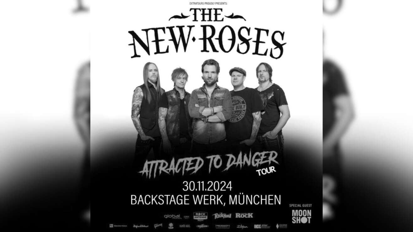 The New Roses 2024: Über das neue Album Attracted to Danger